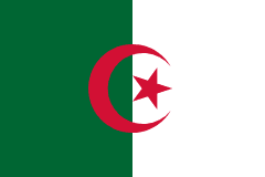 Vlag van Libië | Vlaggen-landen.nl